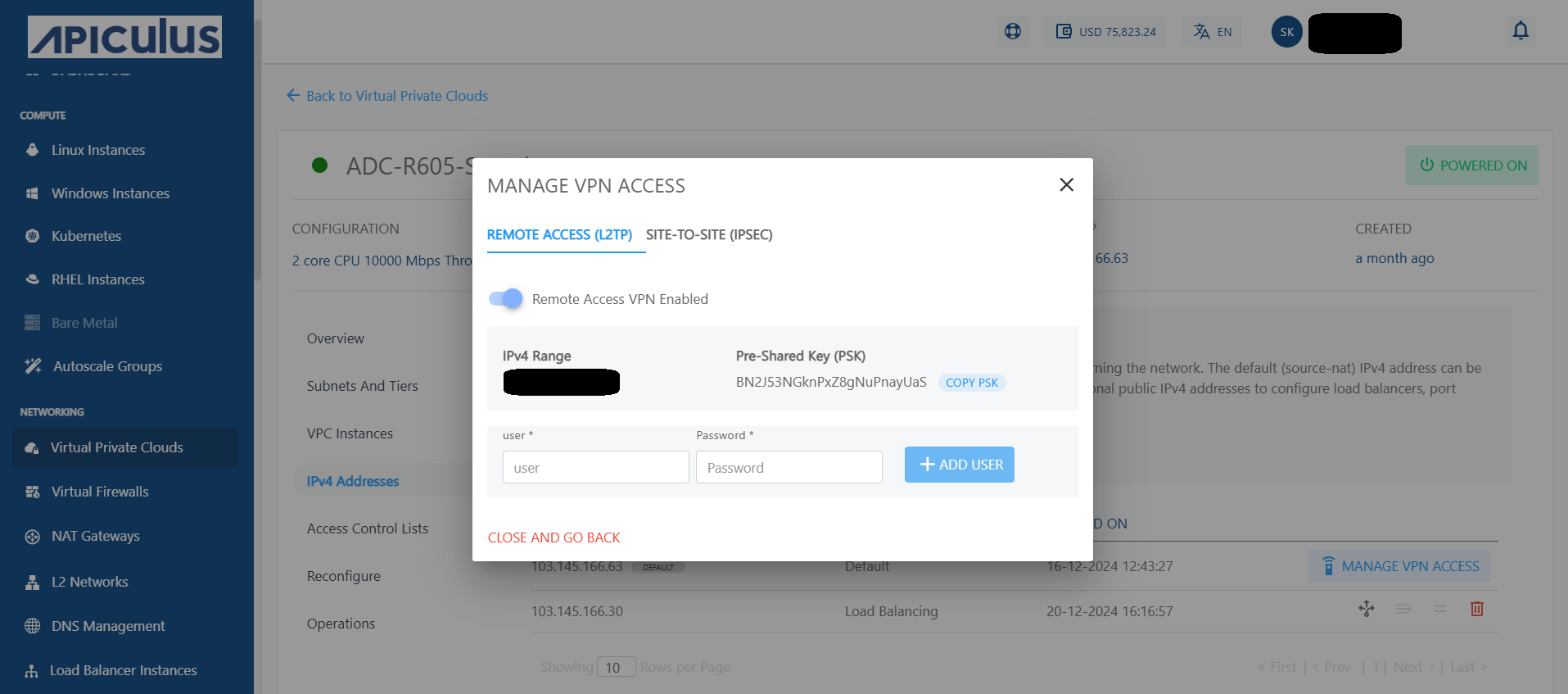 Using Remote Access VPN with VPC | Apiculus Technical Documentation