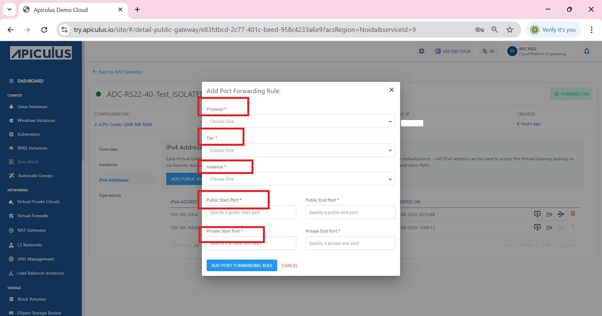 Port Forwarding for VM via VNF | Apiculus Technical Documentation